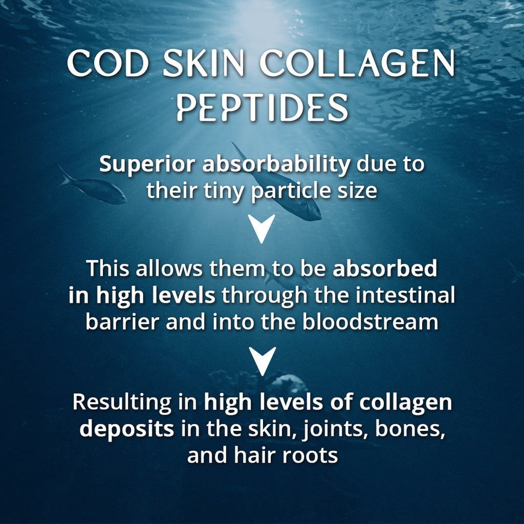 Young-A-Skin 30 Sachets (Rice Cell Ceramides + Cod Skin Collagen Pepti